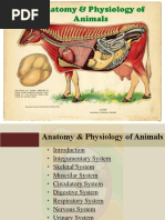 Anatomy and Physiology of Farm Animals | PDF | Respiratory Tract | Bone