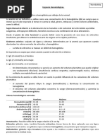 Clasificacion de Las Anemias | PDF | Anemia | Glóbulo rojo
