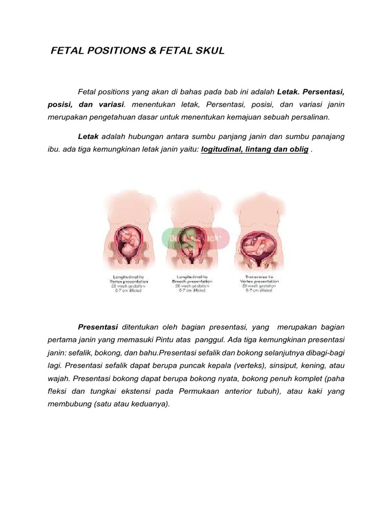 Fetal Positions-1 | PDF