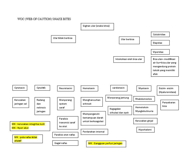 WOC Snake Bites | PDF