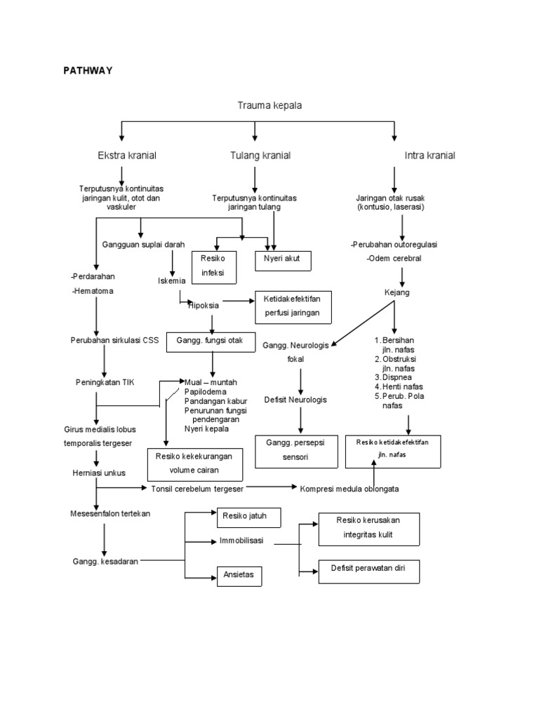 Pathway Cedera Kepala | PDF