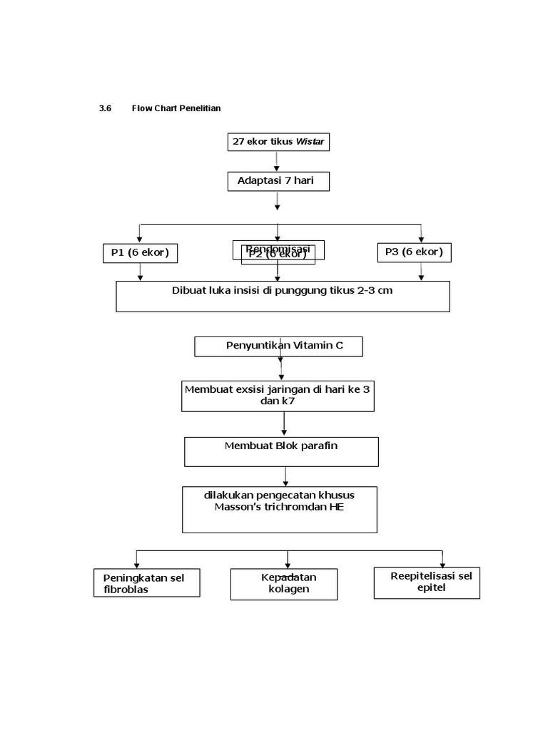 Flow Chart Penelitian | PDF