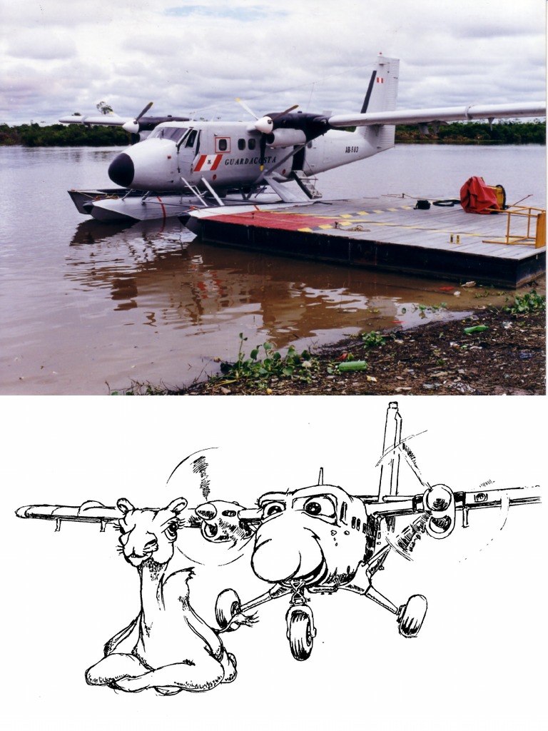 DHC-6 Pilot Training Manual | PDF | Power (Physics) | Electricity