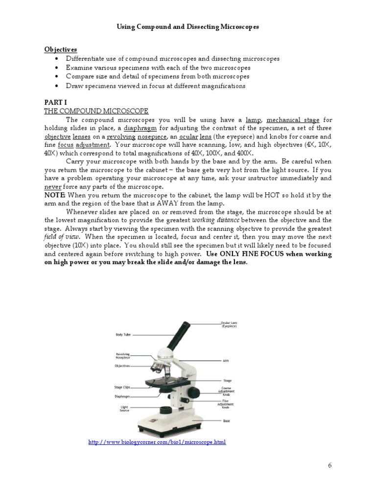Using Compound and Dissecting Microscopes Objectives | Download Free ...