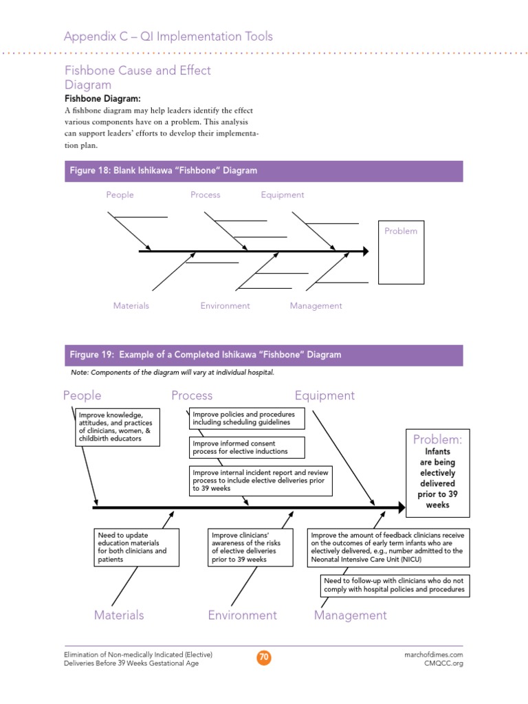 Appendix C - QI Implementation Tools Fishbone Cause and Effect Diagram ...