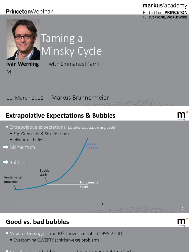 Minsky Moment | PDF | Economic Bubble | Macroprudential Regulation
