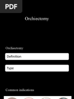 Male Reproductive System Side View Diagram | PDF