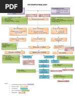 Pathophysiology Flowchart Guide | PDF | Medical Specialties | Clinical ...