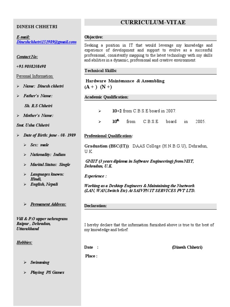 Dinesh Chhetri - IT Professional CV | PDF