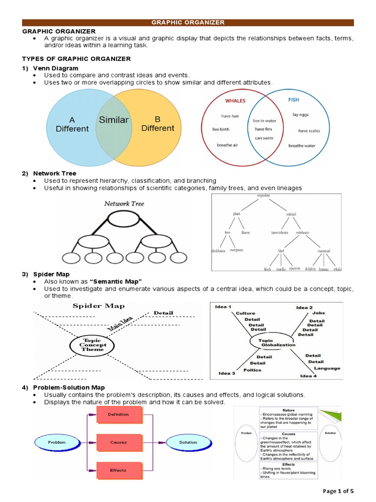 Graphic Organizer | PDF | Causality | Map