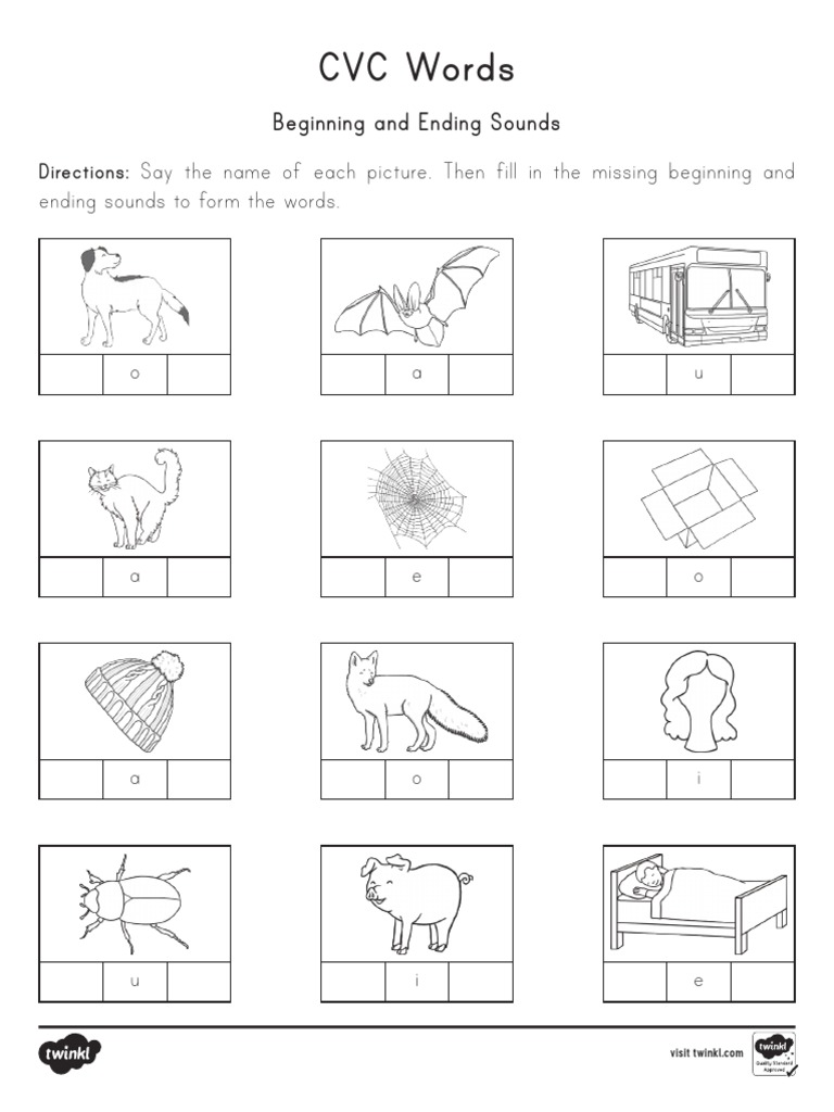 CVC Words Beginning and Ending Sounds Activity Sheet | PDF