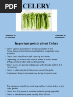 Beetroot Production Guideline 2014 | PDF | Beetroot | Sowing