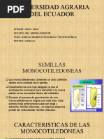Suelos Humíferos - Características, Tipos y Animales - Lifeder PDF ...