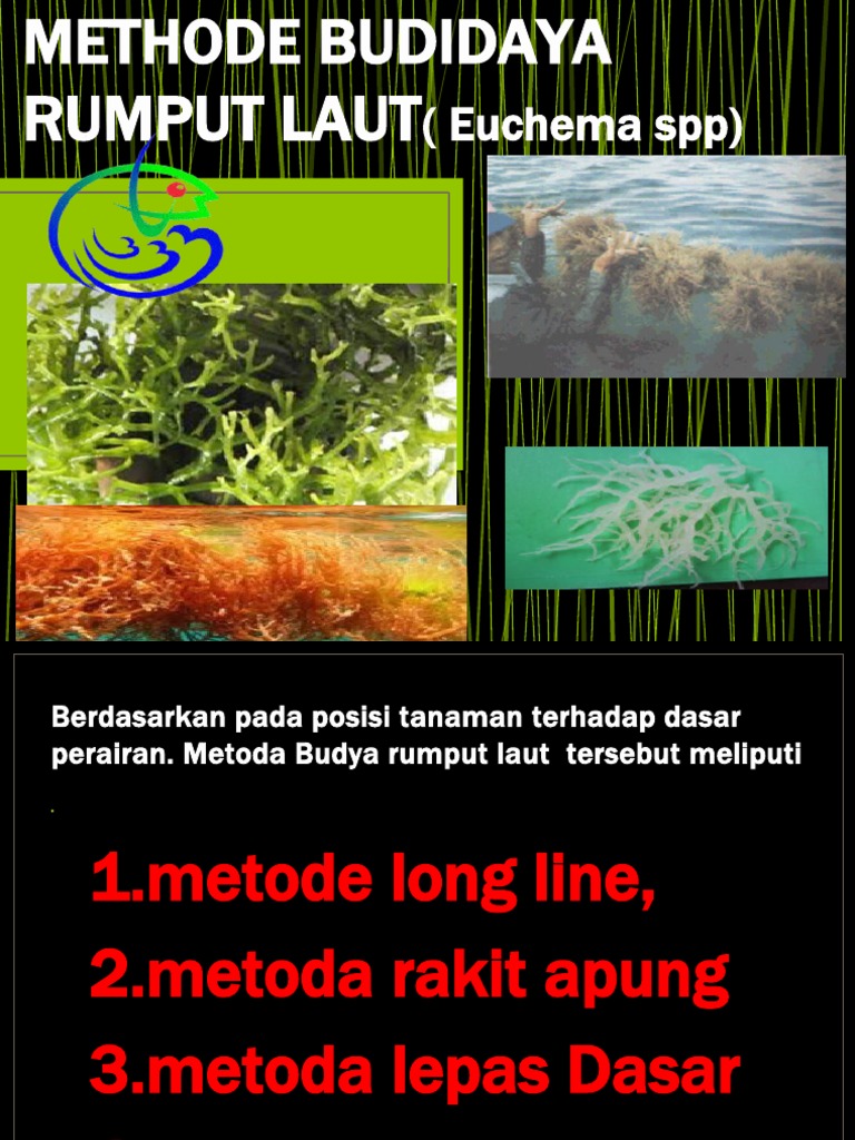 Methode Budidaya Rumput Laut | PDF