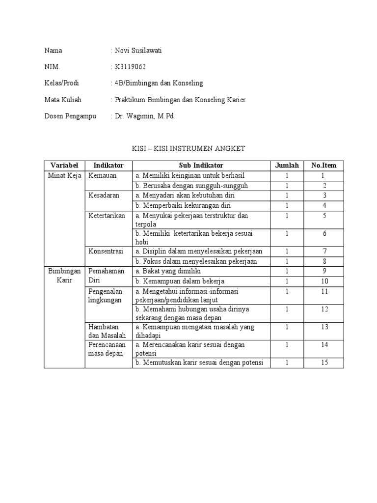 Angket Dan Pedoman Wawancara Karir | PDF