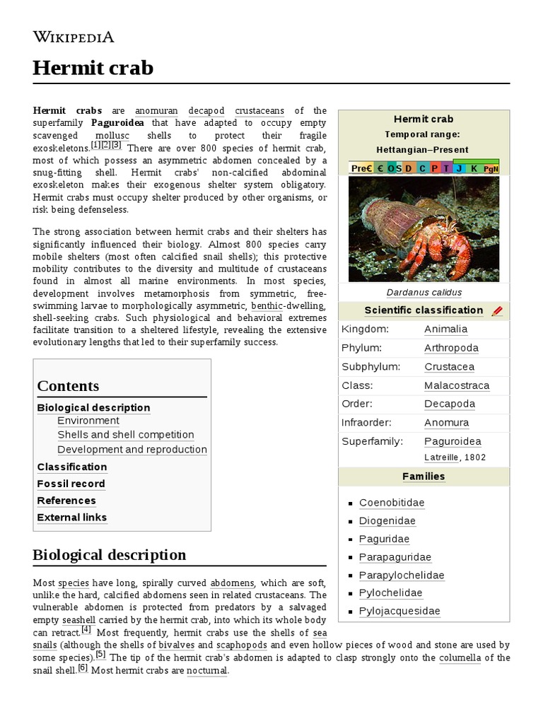Hermit Crab: Hermit Crab Hermit Crabs Are Anomuran Decapod Crustaceans ...