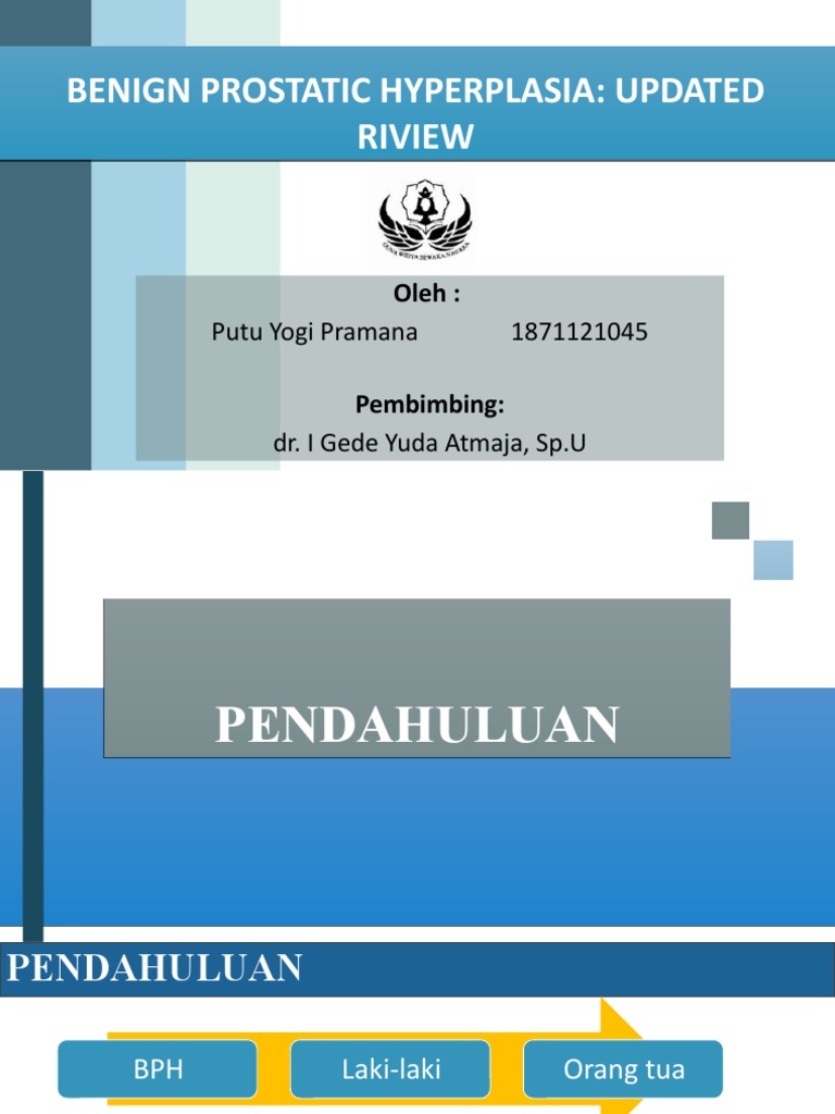 BPH Revisi | PDF