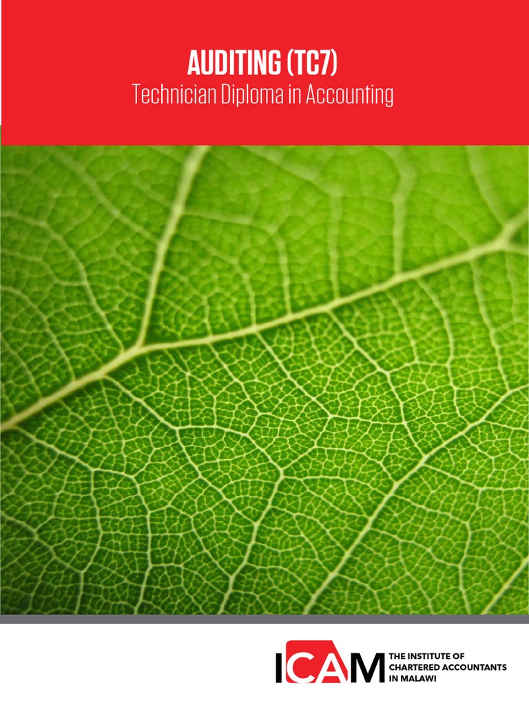 Auditing ManualTC7 | PDF | Internal Control | Audit