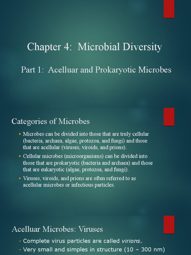 Chapter 4: Microbial Diversity: Part 1: Acelluar and Prokaryotic ...