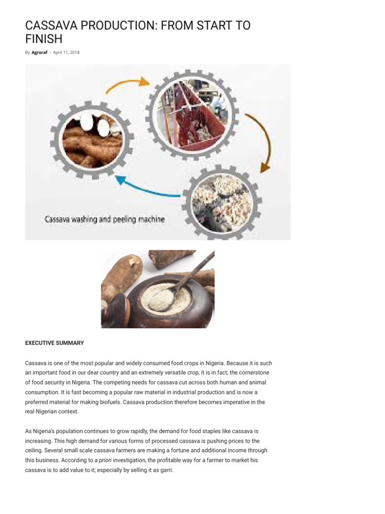 CASSAVA PRODUCTION - FROM START TO FINISH - Agroraf | PDF | Net Present ...