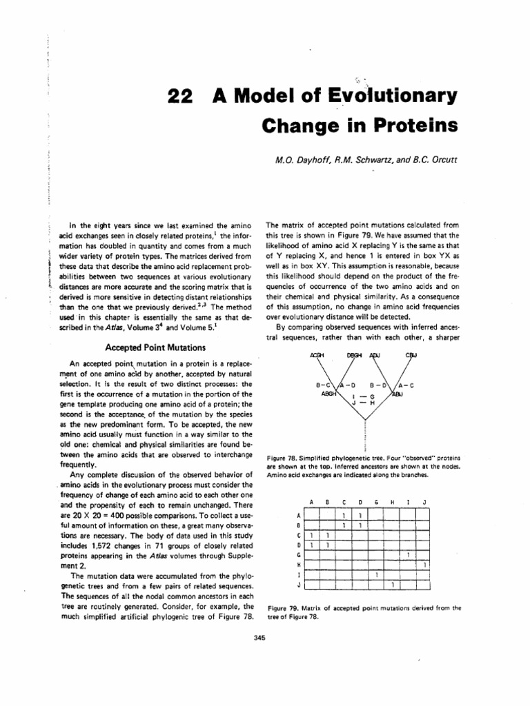 A Model Evolutionary Change in Proteins: Dayhoff, Schwartz, and | PDF ...