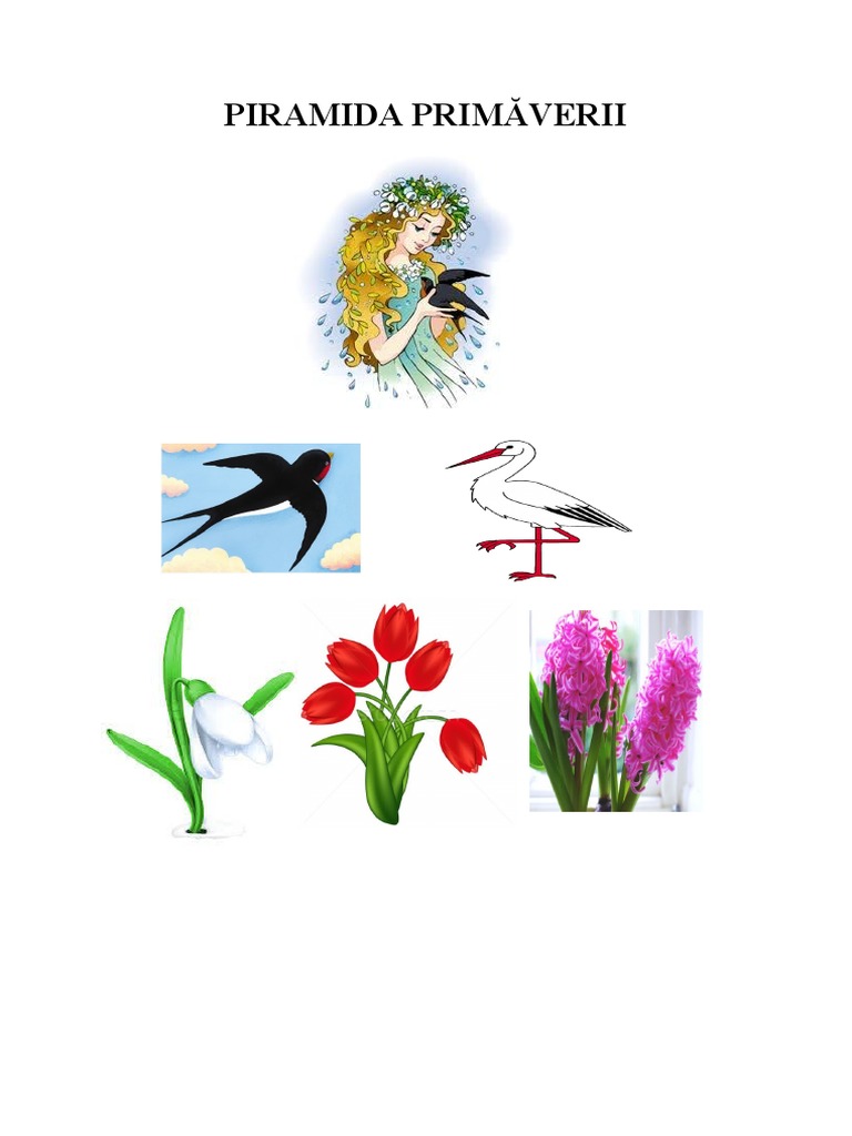 Piramida Primaverii | PDF