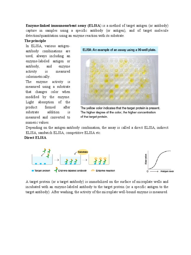 Enzyme-Linked Immunosorbent Assay (ELISA) Is A Method of Target Antigen ...