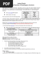 Chapter 4 Fingerprint Classification | PDF | Fingerprint | Hand