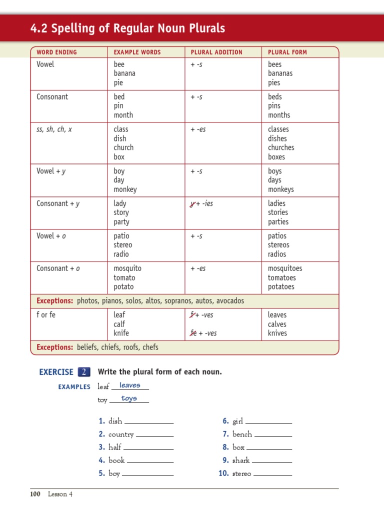 English Plural Nouns Guide | PDF | Plural | Grammatical Number