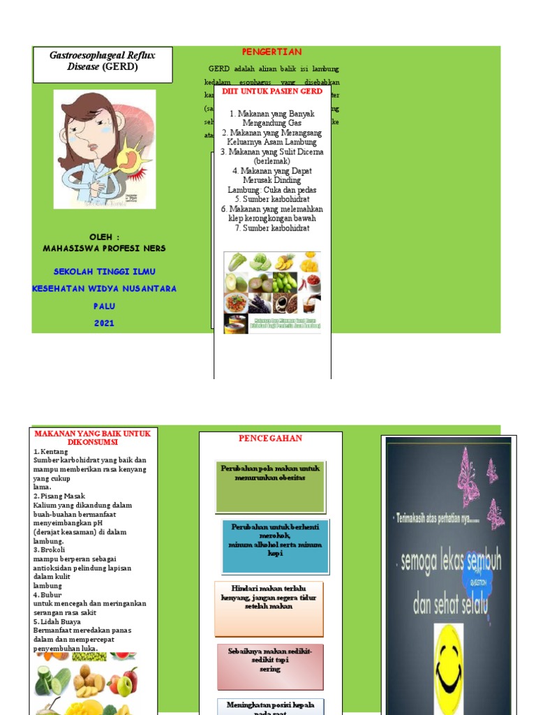 Leaflet Gerd 2 | PDF