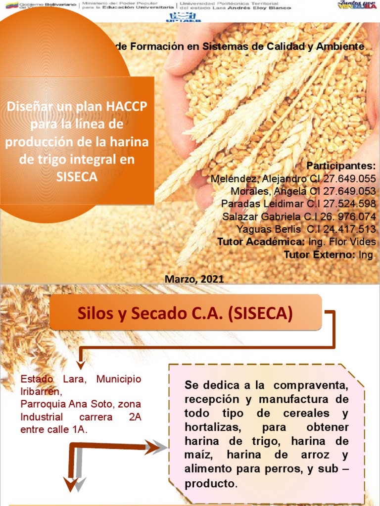 Presentación Proyecto Siseca | PDF | Análisis de Riesgo y Puntos Críticos de Control | Science