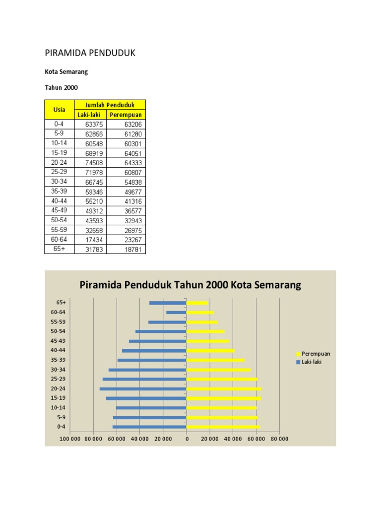 Piramida Penduduk | PDF