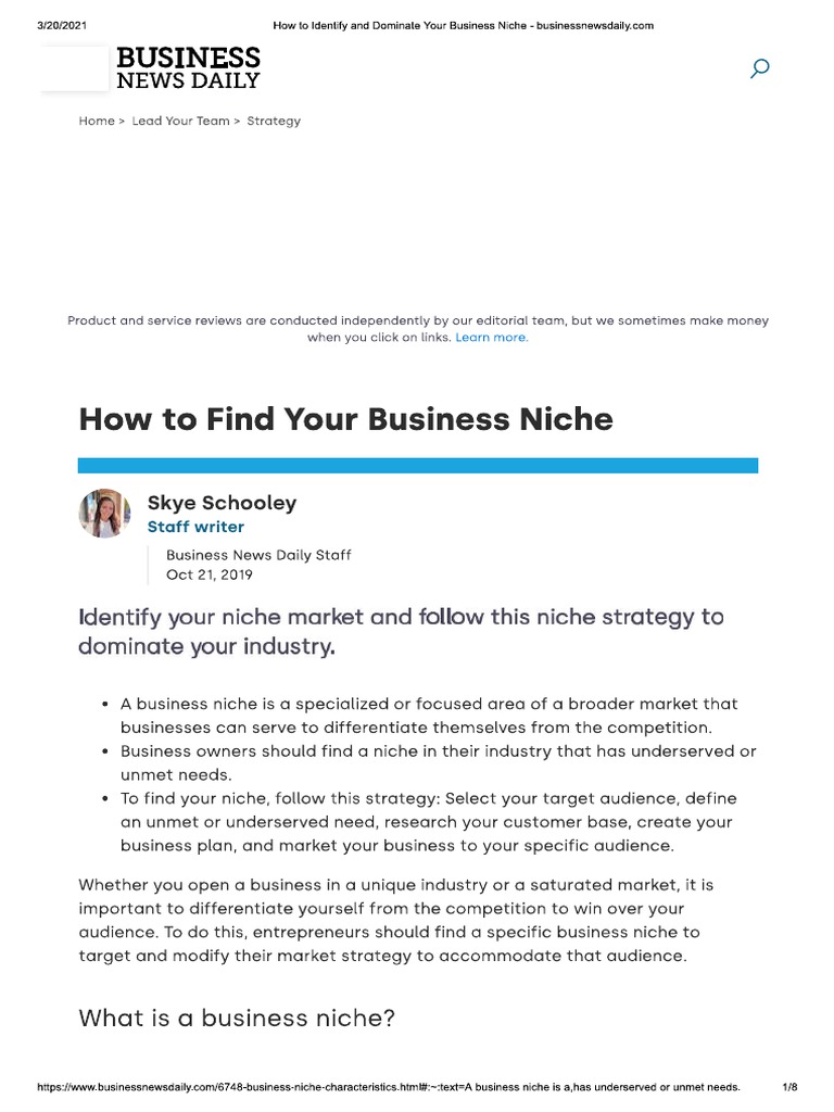 How To Identify and Dominate Your Business Niche | PDF