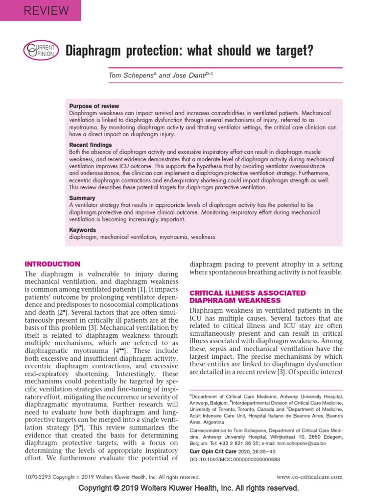 Diaphragm Protection: What Should We Target?: Review | PDF | Intensive ...