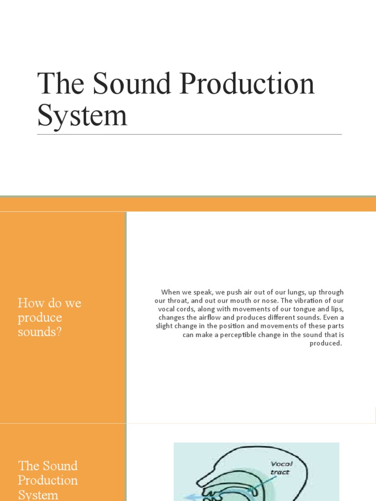 The Sound Production System | PDF
