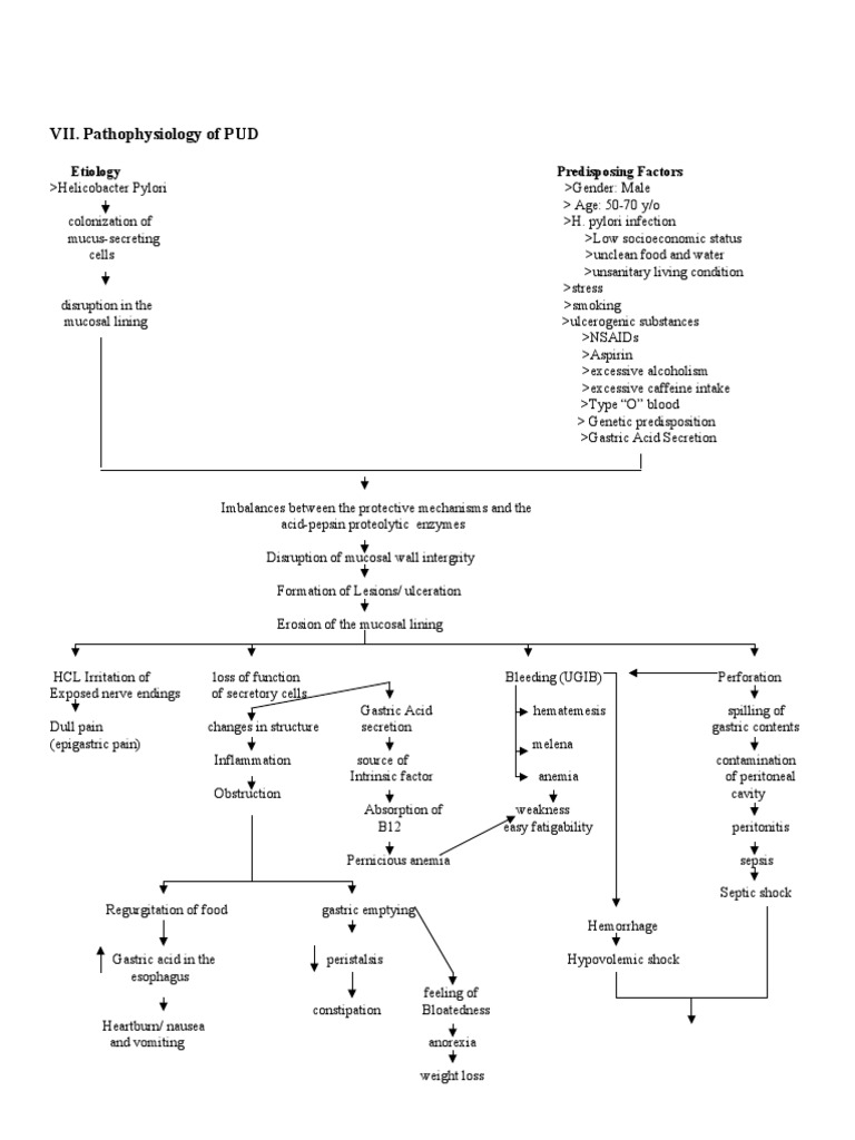 PUD-patho | Medical Specialties | Diseases And Disorders