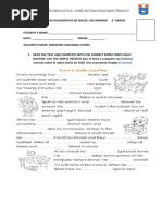 Sophies Daily Routine Reading Comprehension Exercises - 21729 | PDF ...