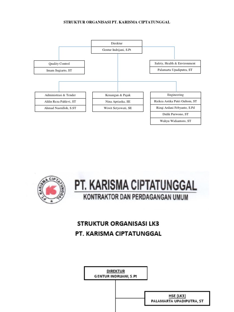 Organisasi Chart | PDF