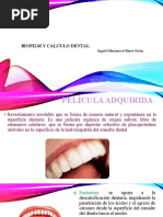 La Placa Dental Se Clasifica Según Su Localización en Supragingival y ...