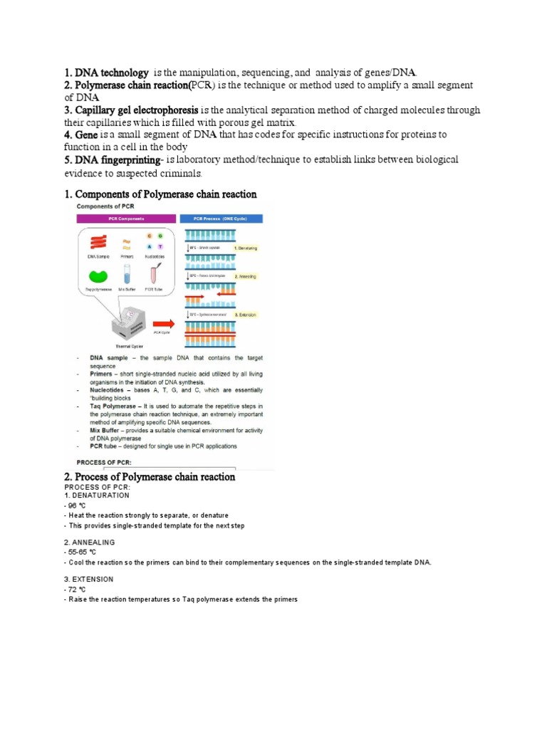Process of PCR: 1. Denaturation | PDF
