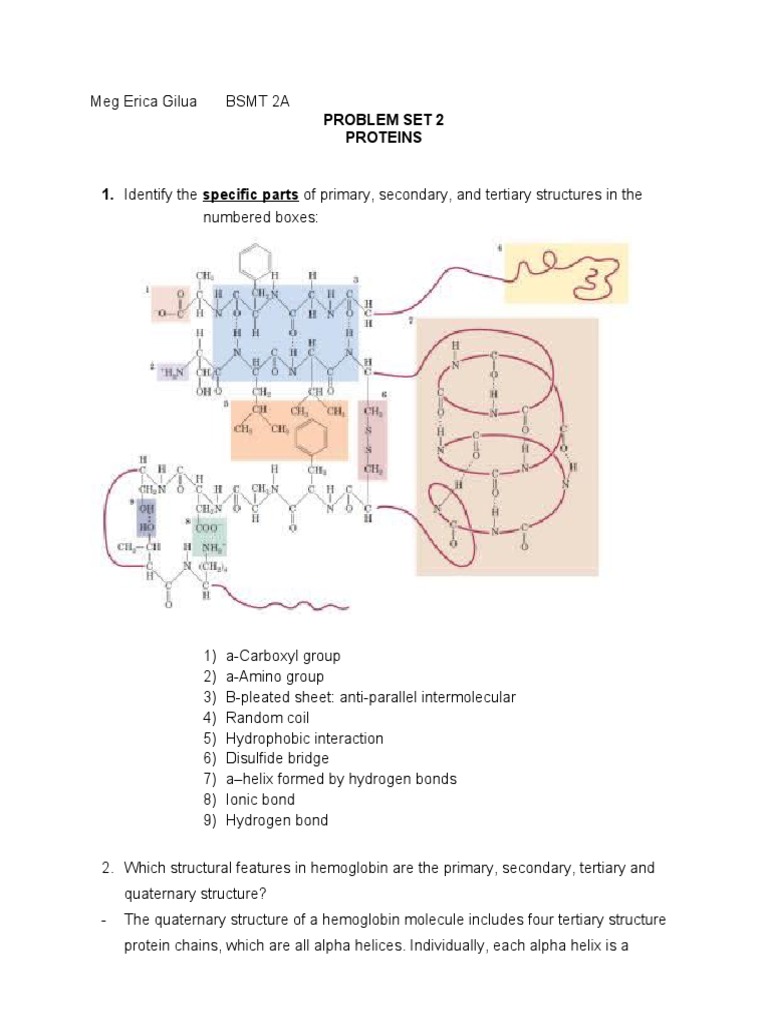 Problem Set 2 Proteins | PDF | Alpha Helix | Denaturation (Biochemistry)