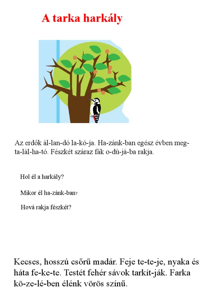 A Tarka Harkály | PDF