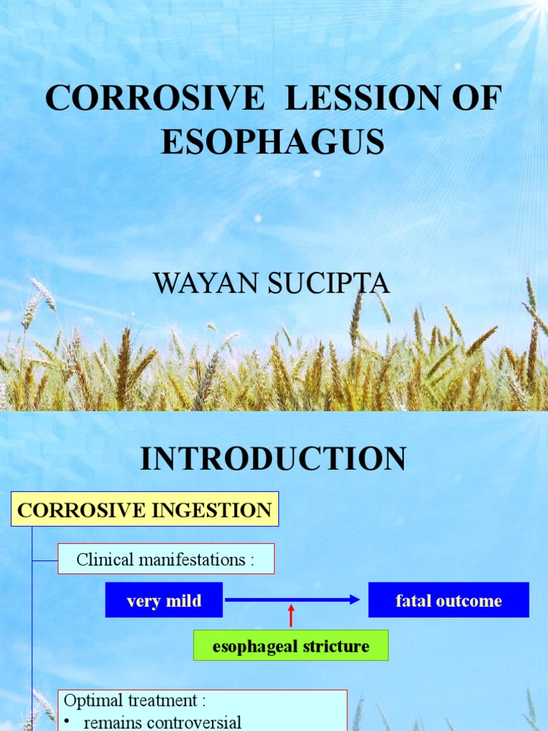 Corrosive Esophageal Injury Overview | PDF | Esophagus | Larynx