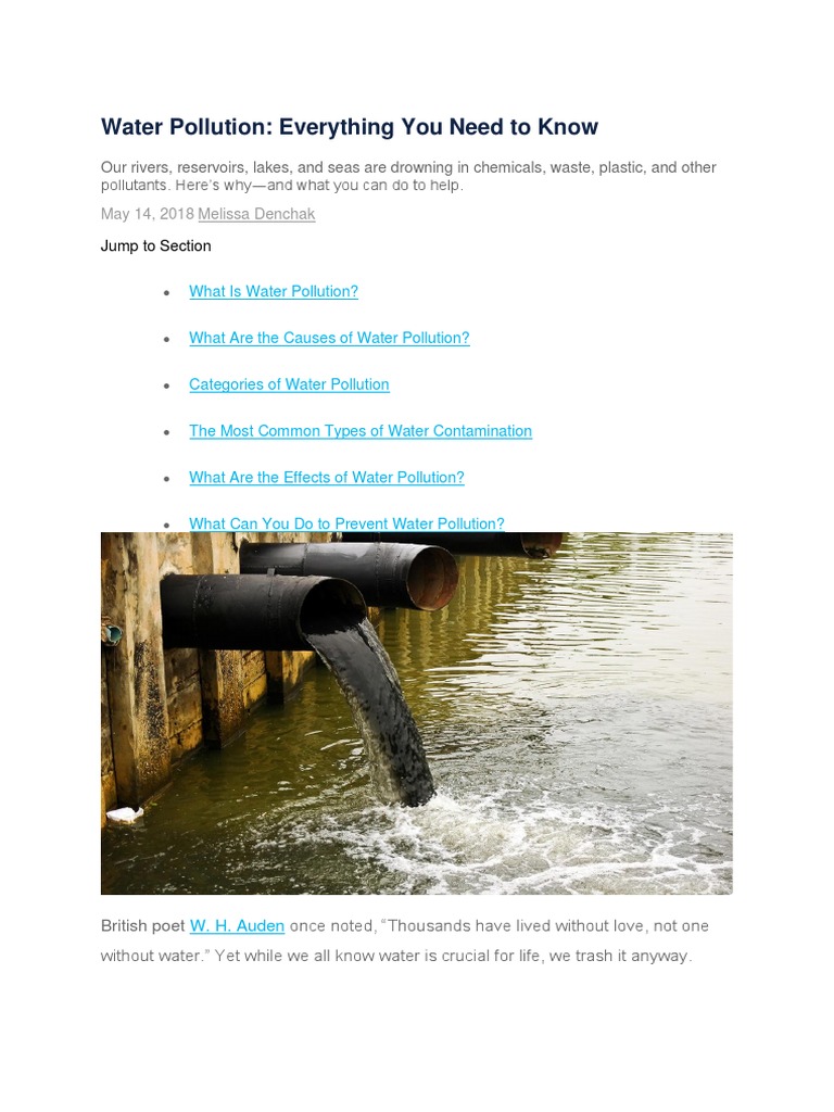 Everything You Wanted To Know About What Water Pollution