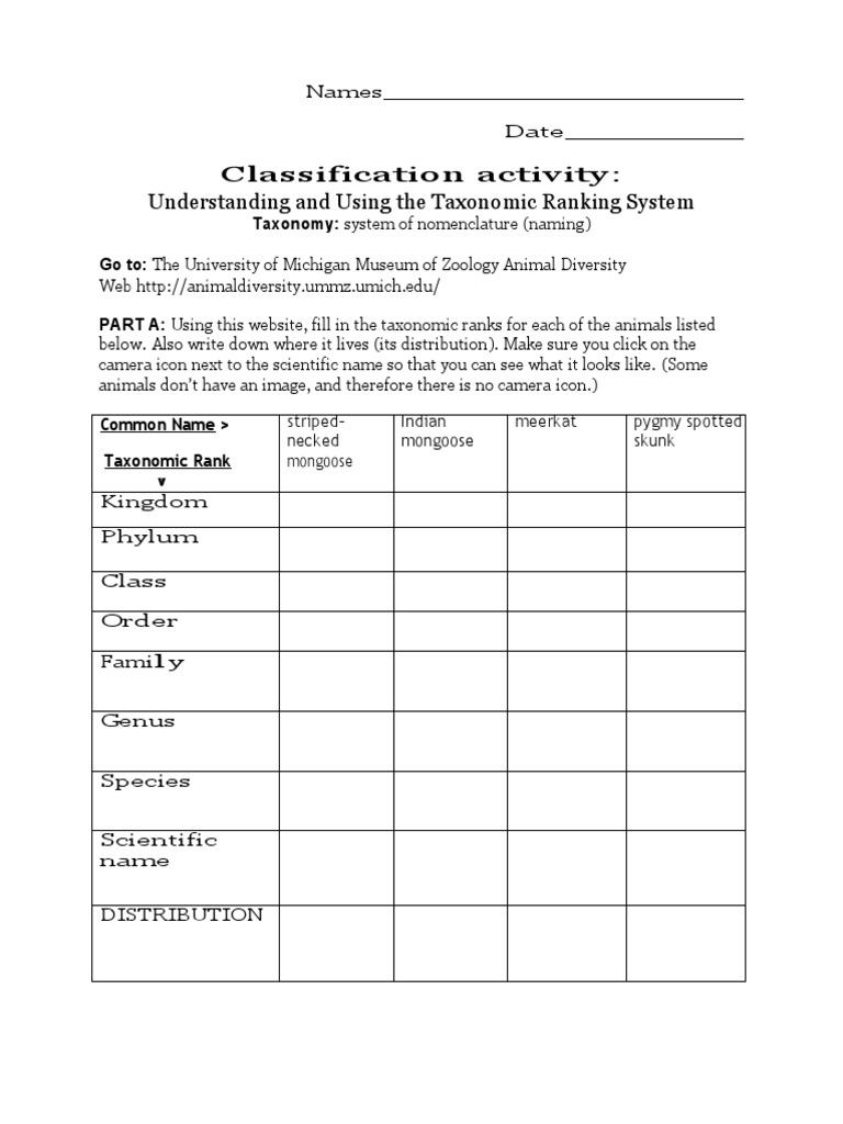 Taxonomic Ranking System Activity | PDF