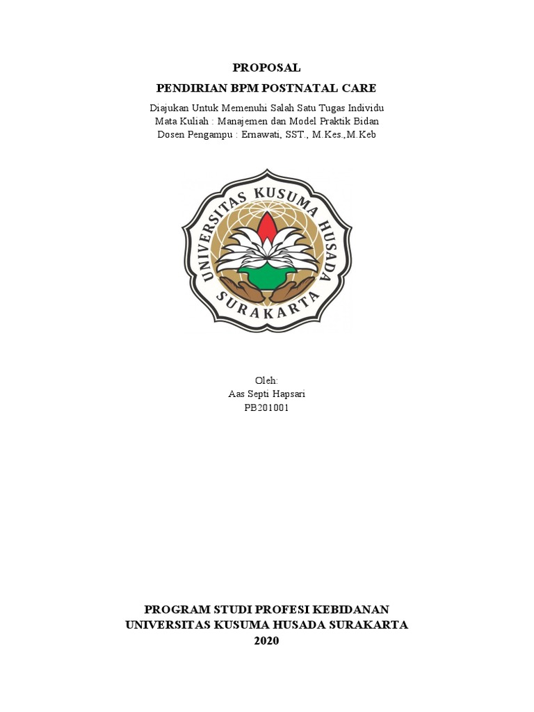 Proposal BPM Postnatal Care | PDF