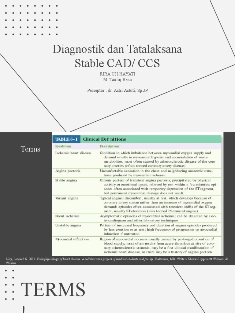 Diagnostik Dan Tatalaksana Stable CAD - CCS | PDF | Coronary Artery ...