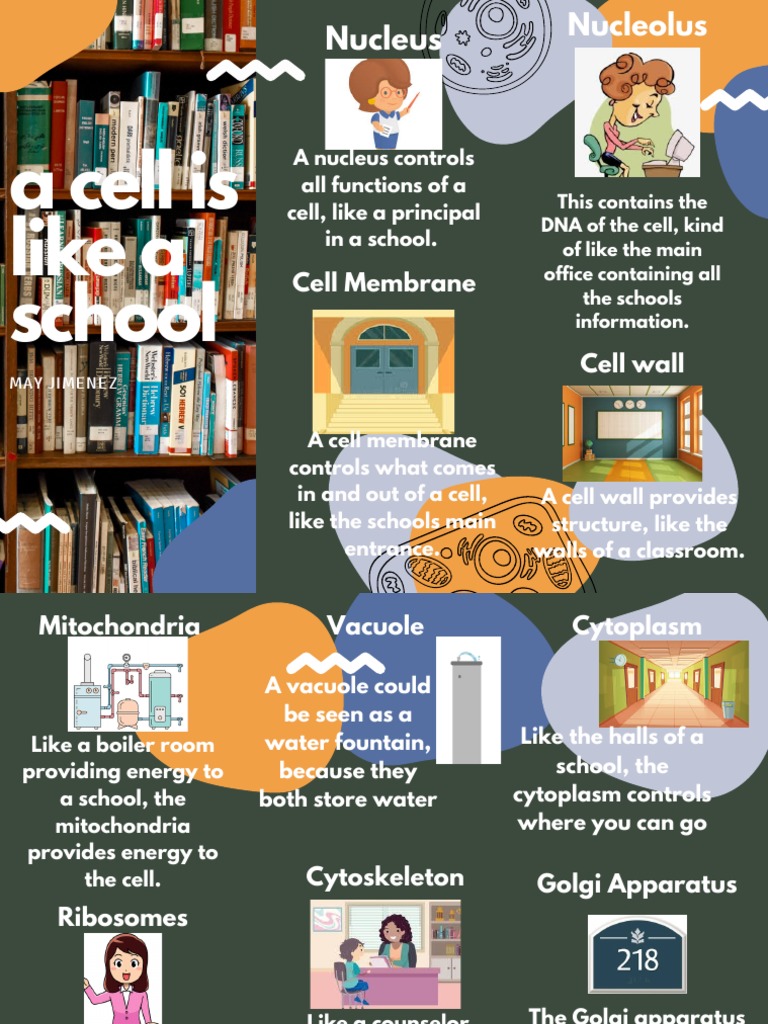 Cells Are Like Schools Brochure | PDF | Endoplasmic Reticulum | Cytoplasm