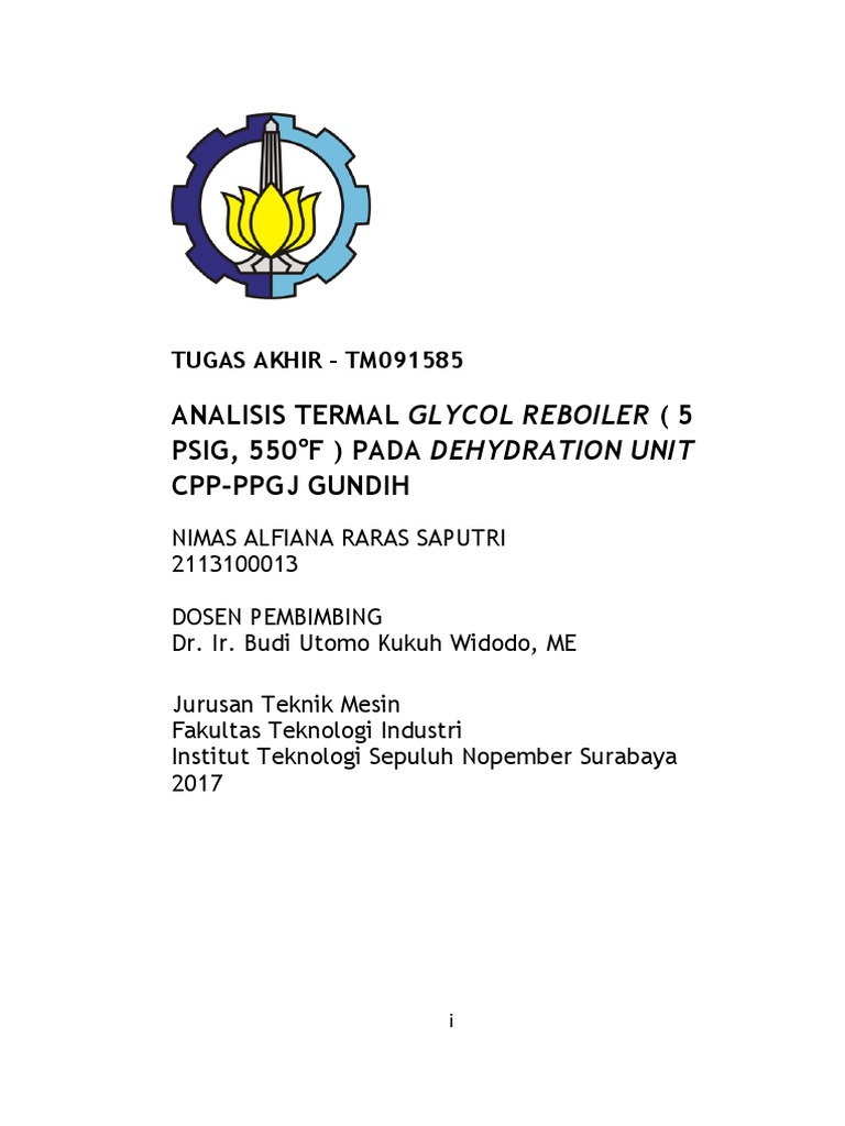 2113100013-Undergraduate Theses | PDF