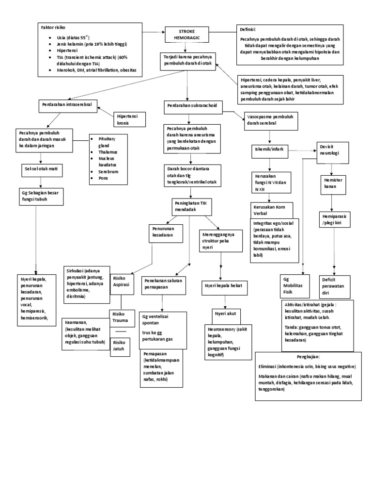 Mind Map Stroke Hemoragic | PDF